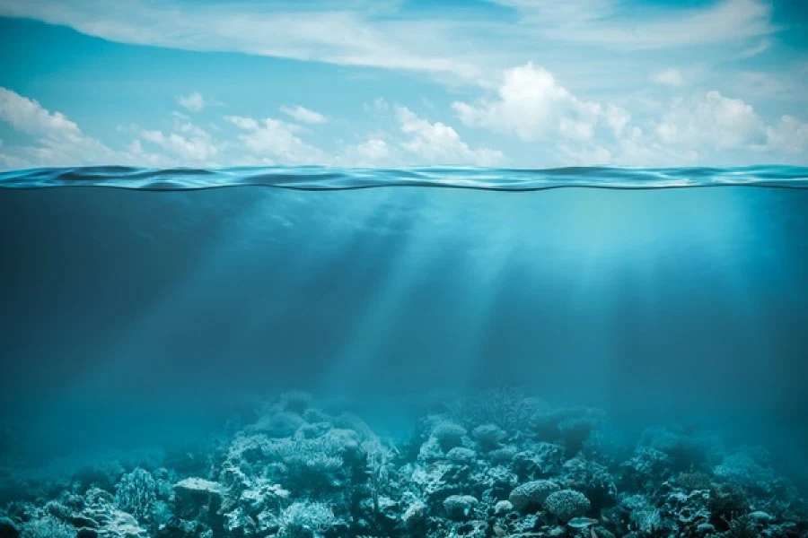 Dia dos Oceanos – o futuro está nas nossas mãos