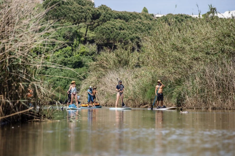 Iniciativa Ambiental na Foz do Lizandro: Comunidade une esforços para ...