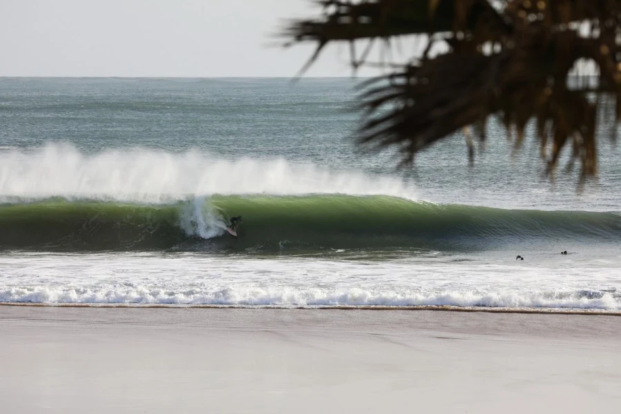 Anthony Walsh vence a 7º edição do Capítulo Perfeito